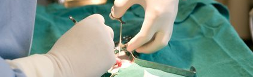 ecolechir - AGEPS ( Agence Générale des Equipements et Produits de Santé )